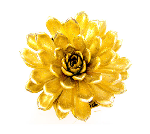 pure-succulents-colorfuze-gold-plainview-growers - Plainview Pure
